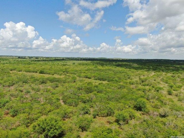 Tbd Lot 6 County Road 208 Lot TR35, Hobson, TX 78117