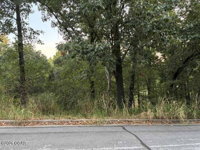 Tbd Lot 6 Scenic Ave Unit 6, Joplin, MO 64804