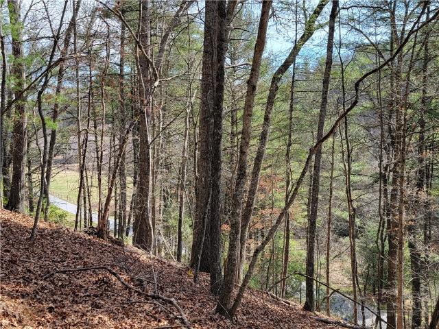 TBD Lot 72 Creekside Meadows Drive