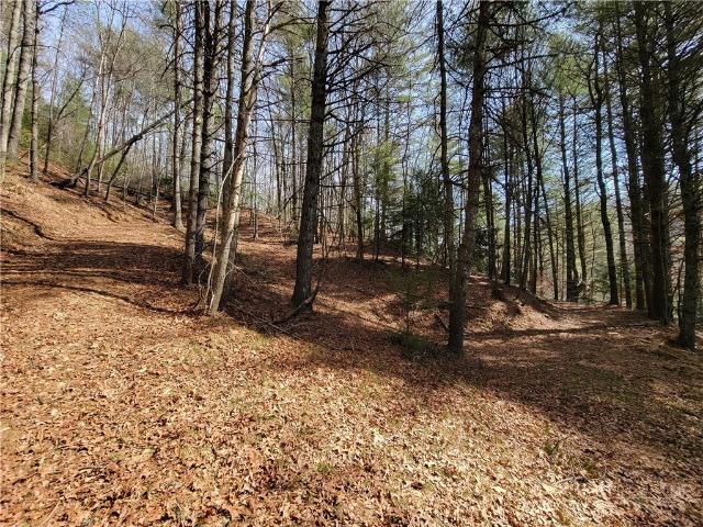 TBD Lot 73 Creekside Meadows Drive