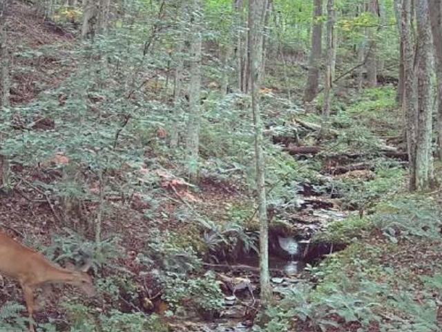 TBD Lot 8 Arborway Drive