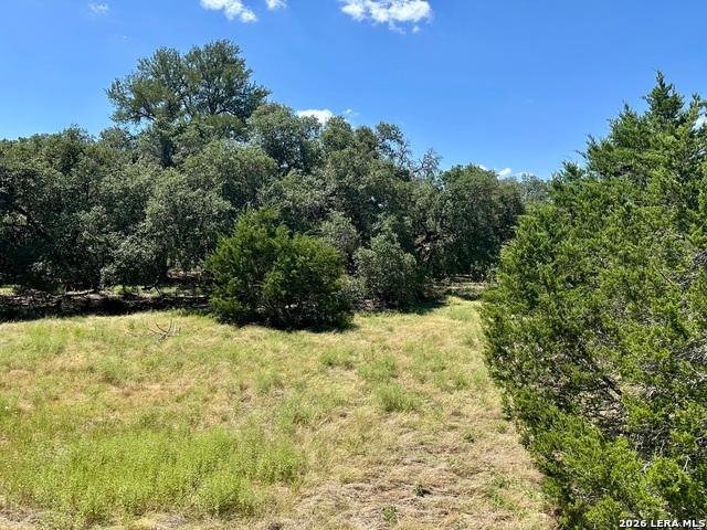 TBD LOT 8 Sisterdale Road