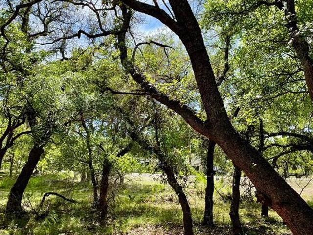 Tbd lots 785 786 Oak Point Dr, May, TX 76857 | MLS #21245