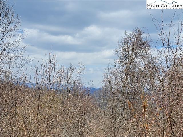 TBD Lots 37&38 Granite Springs Trail