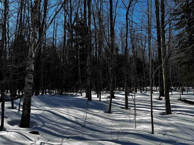 TBD Lower Skanee Road
