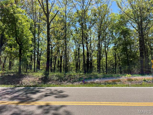 Tbd Lobo Dr, Festus, MO 63028 | MLS #26024