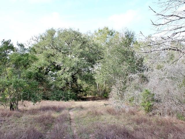 Tbd Lobo Ln Parcel 10, Columbus, TX 78934