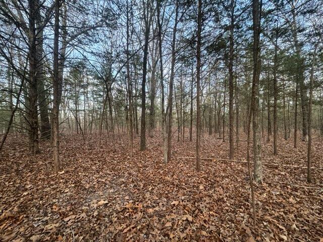 TBD Locust Road