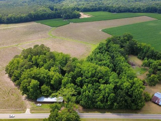 Tbd Long Branch Swamp 4 Remainder Rd Lot Tract, Green Sea, SC 29545