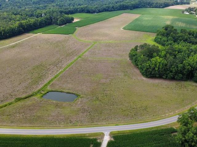 Tbd Long Branch Swamp Rd Lot TRACT3, Green Sea, SC 29545