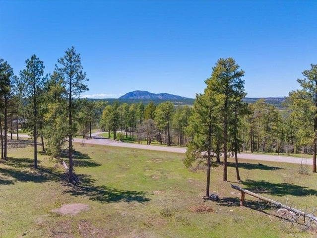 Tbd Lone Elk Rd Lot 140, Spearfish, SD 57783
