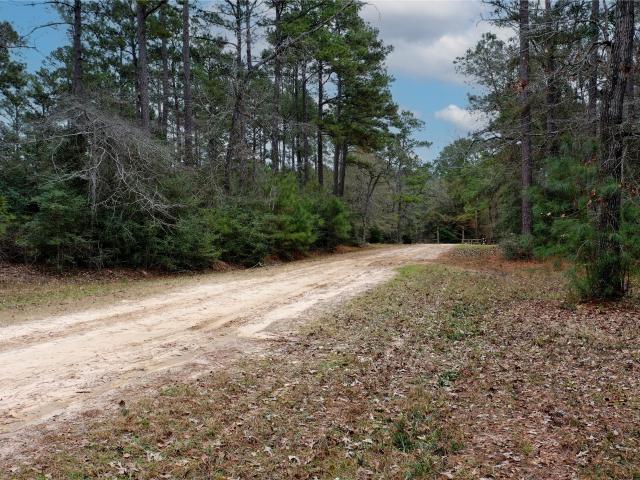 TBD Lone Star Road