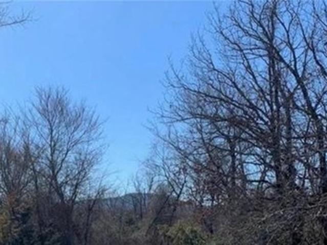 Tbd Latham Rd, Shady Point, OK 74956
