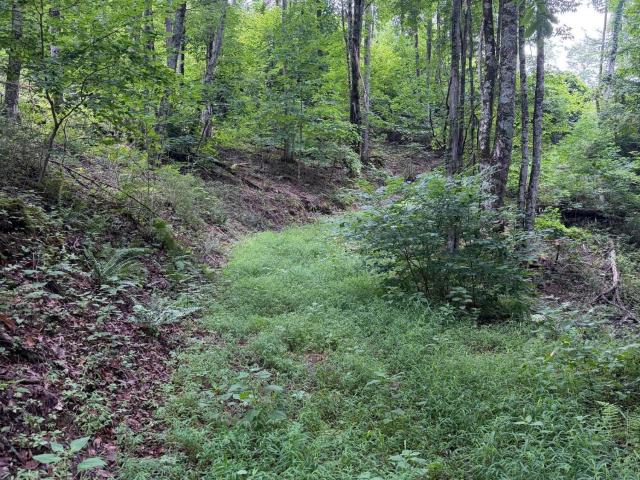 Tbd Laurel Highlands Road