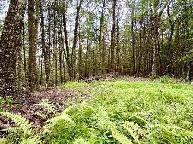 Tbd Laurel Lane, Saugerties, NY 12477 655666079