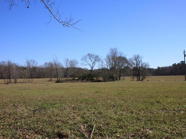 Tbd LA Highway 958 Lot 3, Slaughter, LA 70777