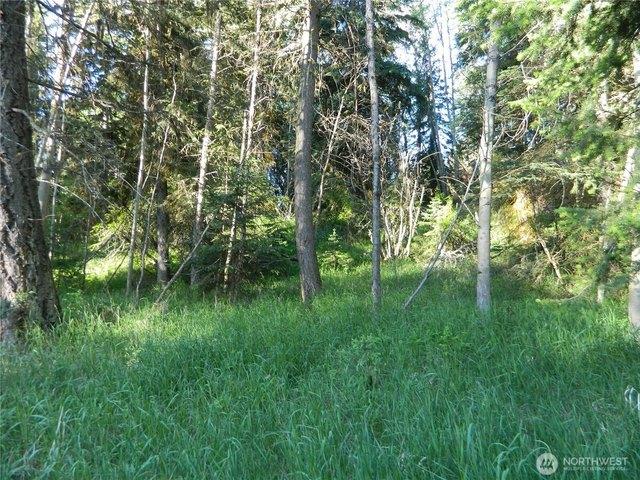 Tbd Lake View Dr Lot 20, Oroville, WA 98844