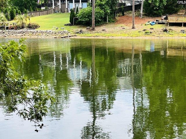 Tbd Lake Dr, Leesville, SC 29070