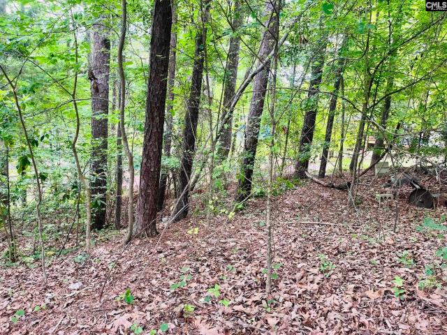 Tbd Lake Drive Lot 223