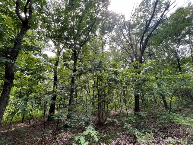 TBD Lake Forest Estates Road