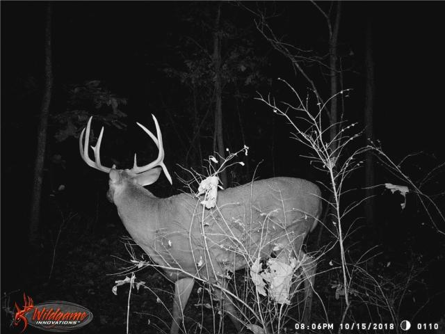 TBD Lake Francis Road