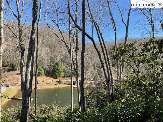 TBD Lake Lot 1 Woodlake Loop Road