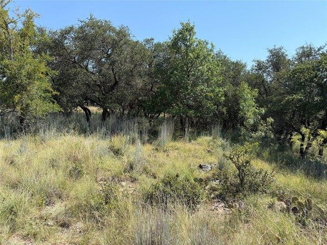 Tbd Lake Point Dr Lot 974, May, TX 76857
