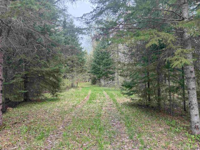 TBD Lake Road