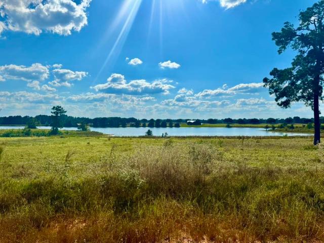 Tbd Lakeland Loop, Lot 74, Hillister, TX 77624 | MLS #17157