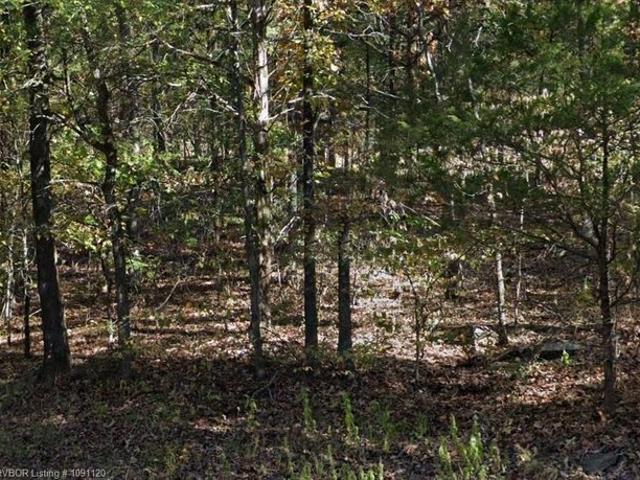 Tbd Lancaster Rd, Rudy, AR 72952