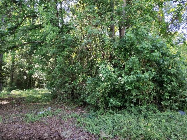 TBD Lang Road Lot 1