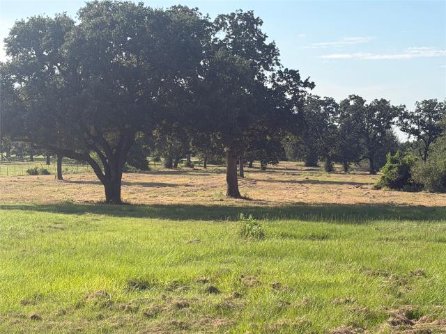 TBD Lewis Road