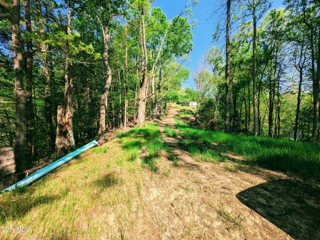 Tbd Leaf Ridge