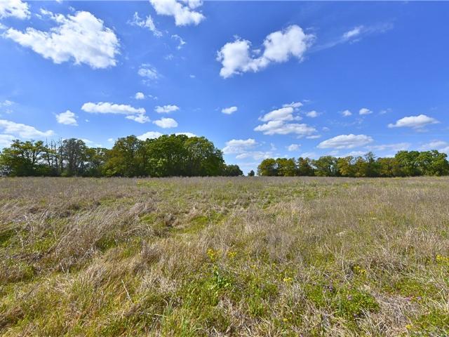 TBD Legacy Road 5 acres