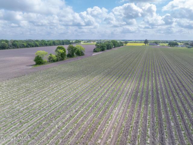 Tbd Leroy, Maurice, LA 70555 | MLS #RA2600003