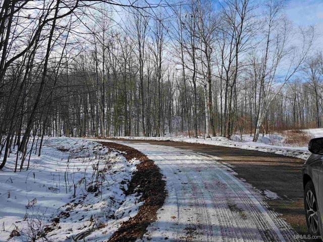 TBD Little Bear Road