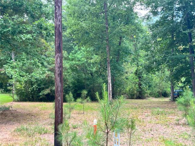 Tbd Little Creek Dr, Coldspring, TX 77331 | MLS #59389