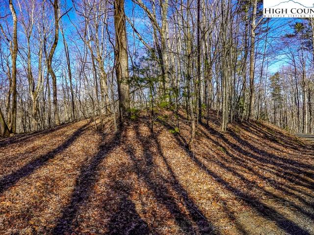 TBD Little Tree Lane