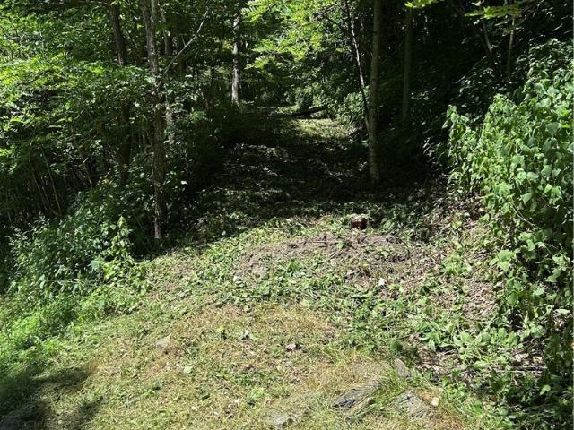 TBD Little Tree Road