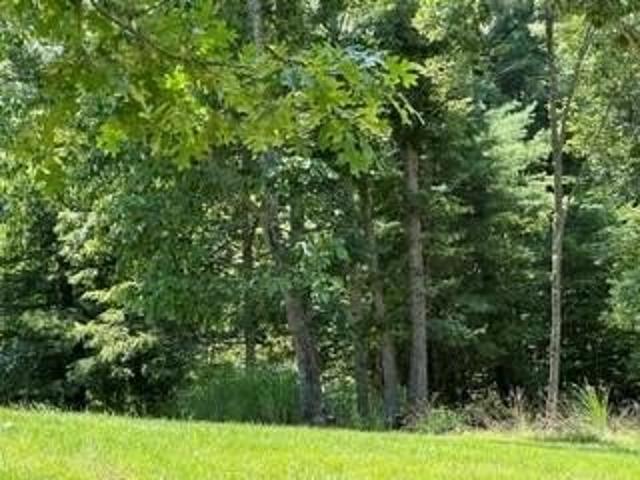 Tbd Live Oak Ln Lot 1T2, Galax, VA 24333