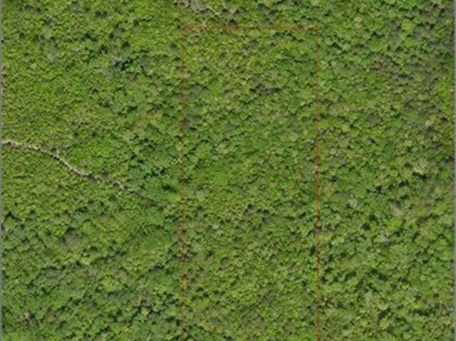 Tbd Liberty Rd, Jefferson, TX 75657