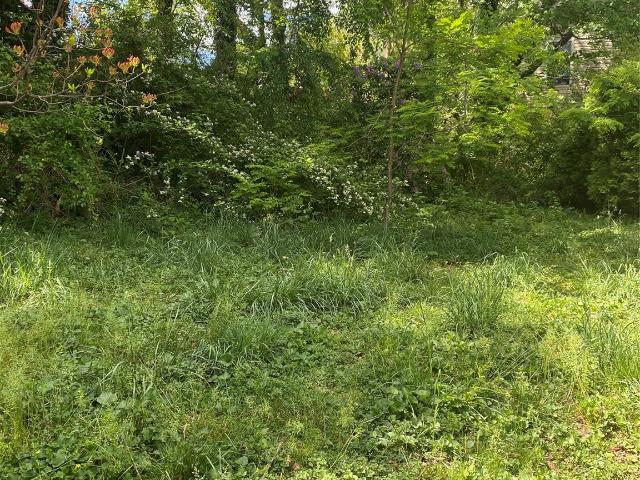 Tbd Lilac St, Asheville, NC 28806 | MLS #4374 | Compass