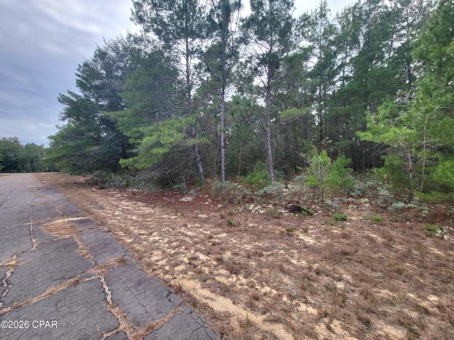 Tbd Luar Ave, Chipley, FL 32428 | MLS #783695 | Compass