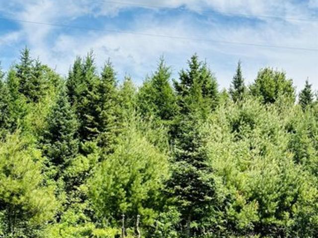 M95 Hwy, Republic, MI 49879