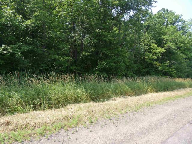 TBD M 64 Highway