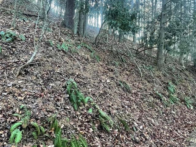 TBD Mountain Side Lane