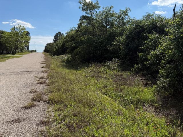 TBD Mockingbird Ln