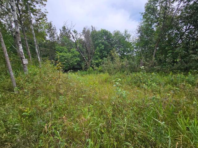 Tbd Moose River Road E