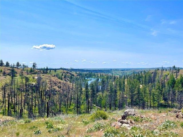 Tbd Madd Mtn Rd, Okanogan, WA 98840