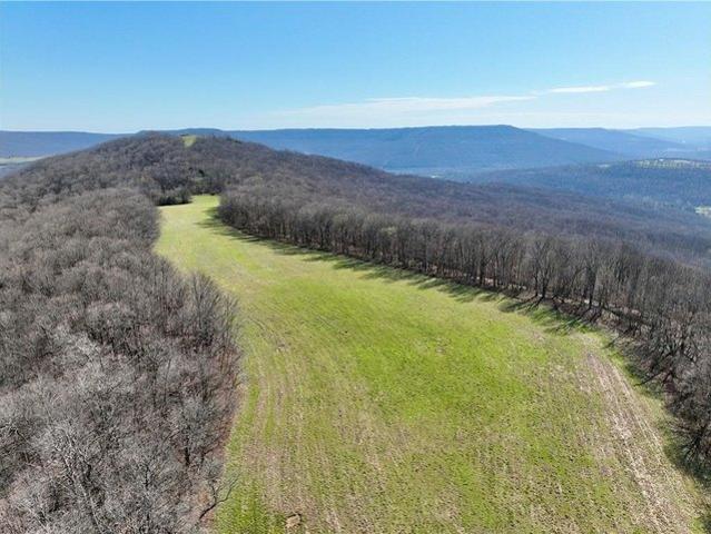 Madison 5450, Elkins, AR 72727